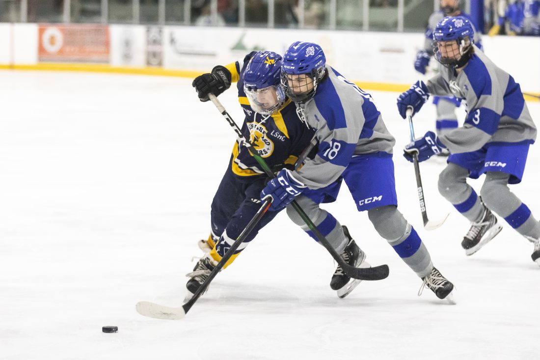 Prep hockey: Copper Kings ease past Flivvers, 7-1 | News, Sports, Jobs ...